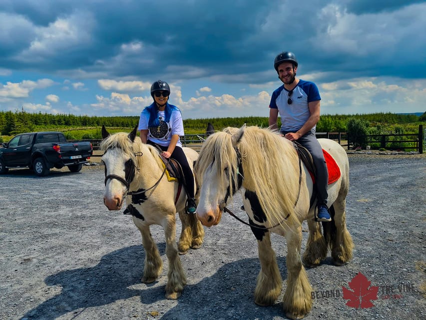 ケープタウン：乗馬体験 | GetYourGuide