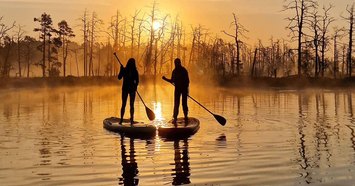 From Riga: Sunrise Kayak or Paddleboard Tour with Pick-Up | GetYourGuide