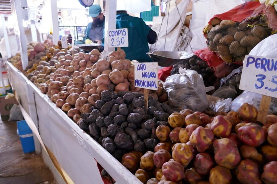 Cusco: Ceviche en Saltado Lomo Peruaanse keukenlessen | GetYourGuide