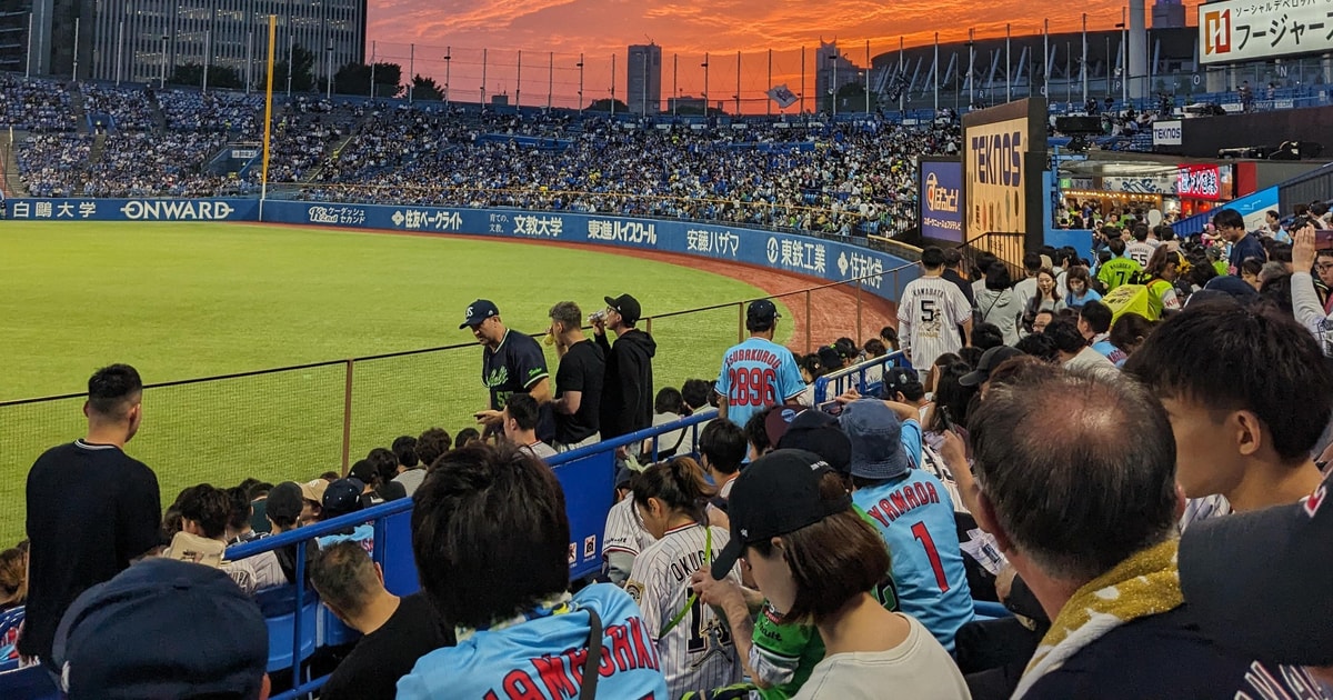 Japan Baseball Tour-Catch a Live Game in Tokyo with a Local | GetYourGuide