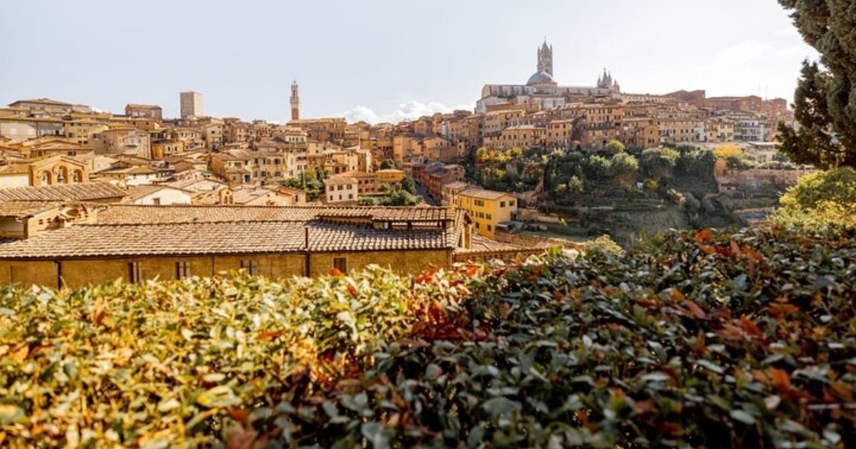 Siena : Highlights Private Walking tour | GetYourGuide