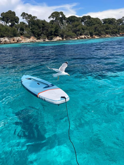 Boat trip to the Lérins Islands and Cannes | GetYourGuide