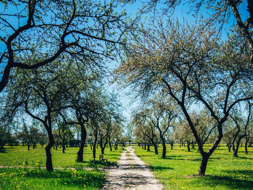 Pokaini stone agglomerates, Dobele castle, Nakotnes park | GetYourGuide