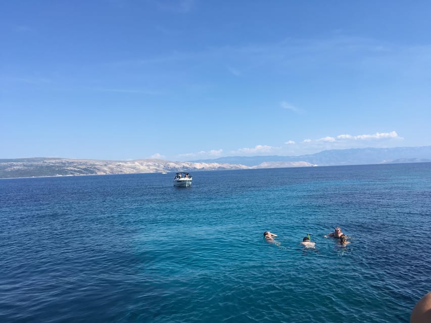 Swim and Snorkel with Capt. Bobo on Plavnik Island (Private) | GetYourGuide