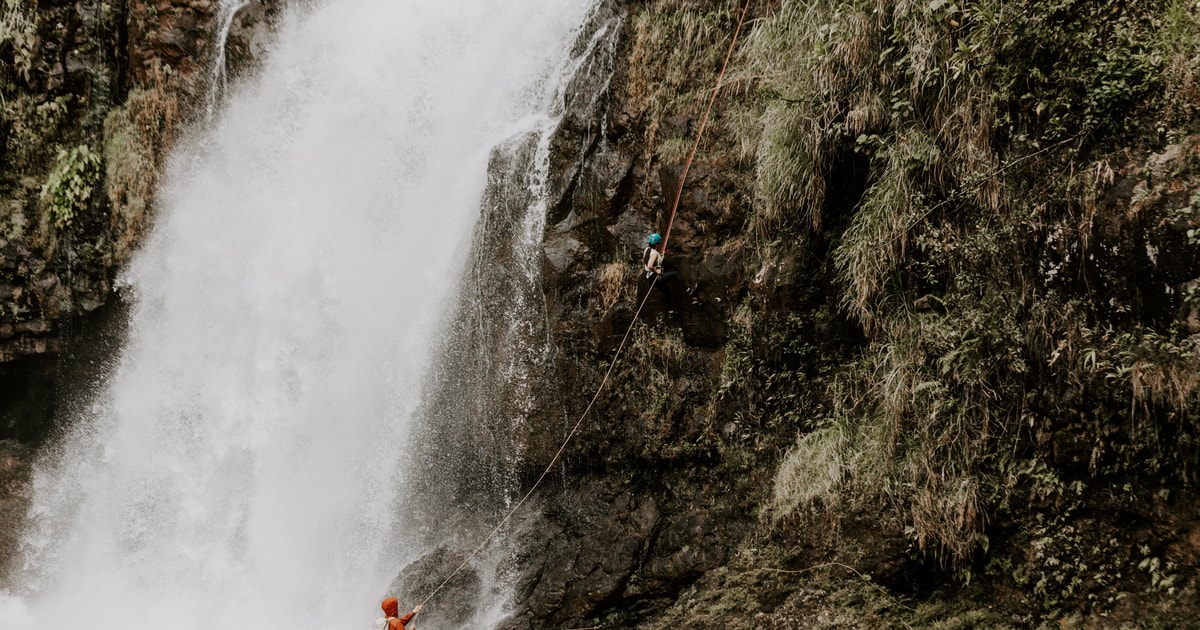 Waterfall Rappelling at Kulaniapia Falls | GetYourGuide