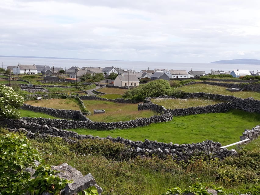 Dublin: Nature & Hiking in Howth (Walking Tour) | GetYourGuide