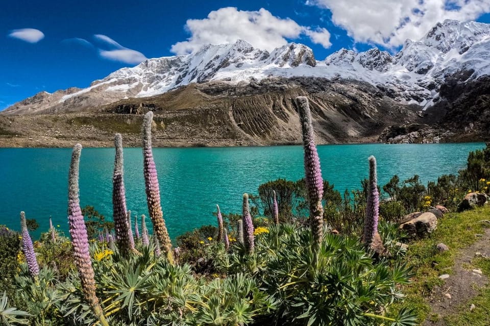 Huaraz: Rocotuyoc Lagoon - Frozen Lagoon | Trekking | | GetYourGuide