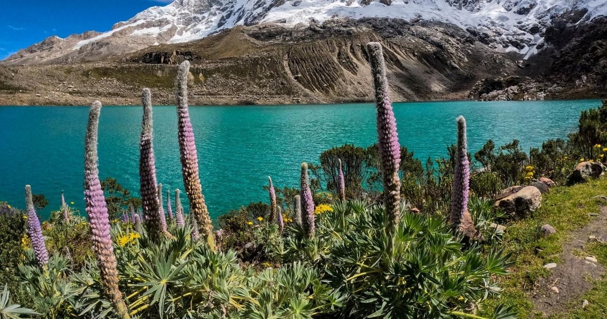 Huaraz: Laguna di Rocotuyoc - Laguna ghiacciata | Trekking | | GetYourGuide
