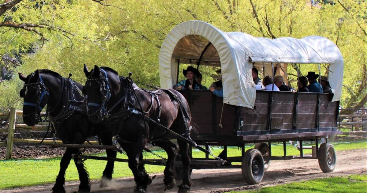 Jackson: Chuck Wagon Cookout and Live Show | GetYourGuide