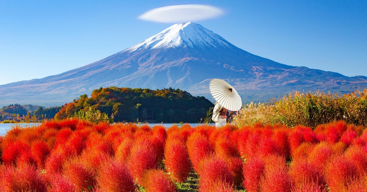 Tokio: Ganztagestour zu den schönsten Aussichtspunkten des Fuji ...