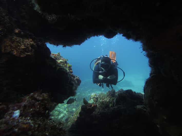 Cancun: Two Reef Dives at Punta Cancun for Certified Divers | GetYourGuide