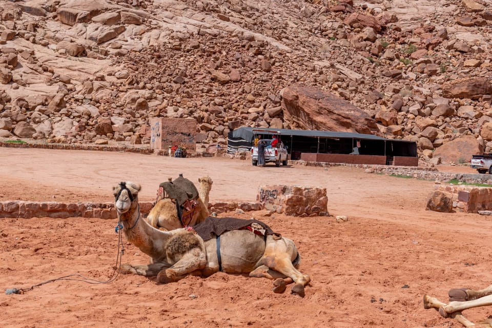 Wadi Rum: Camel ride + jeep tour | GetYourGuide