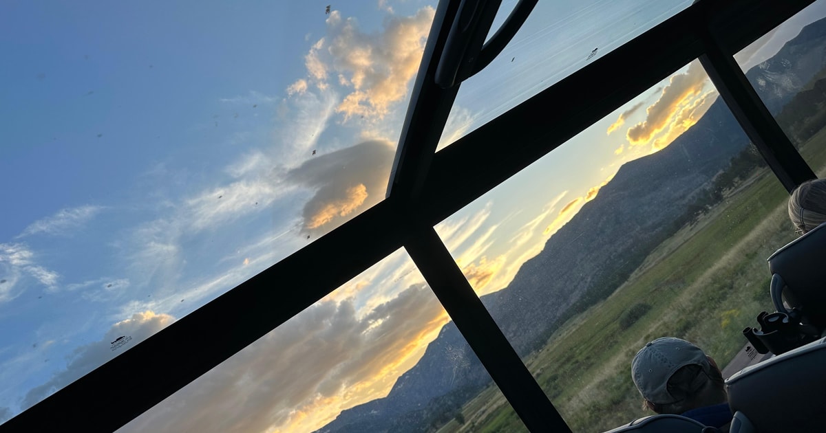 Moosin' Around Rocky: A Springtime Evening Wildlife Tour | GetYourGuide