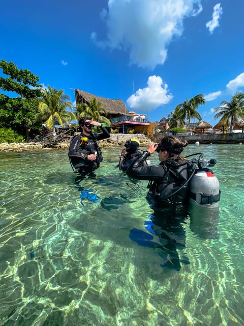 Discover Scuba Diving in Cozumel 2 Tanks | GetYourGuide