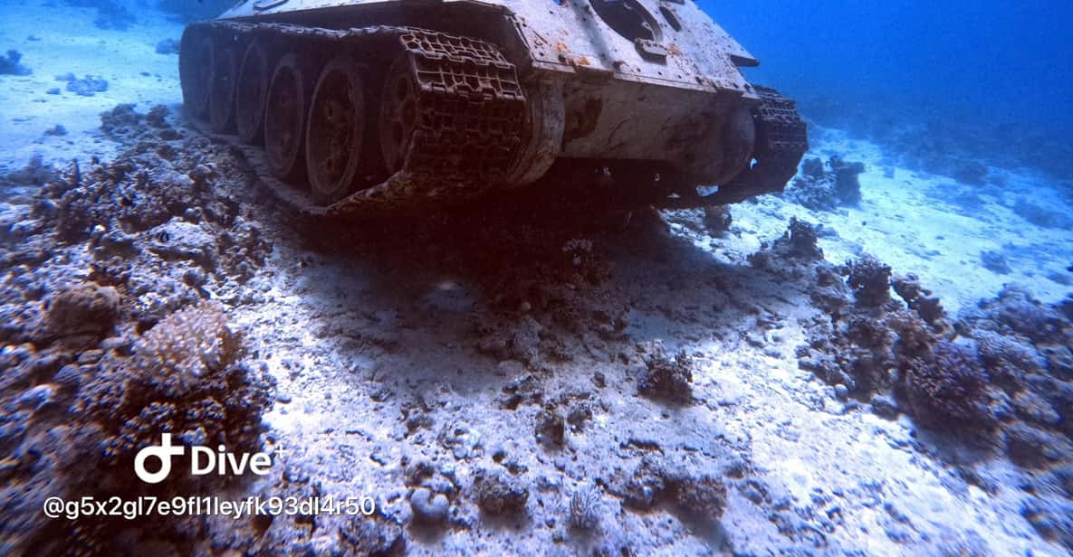 Museum Diving Experience in the Red Sea | GetYourGuide