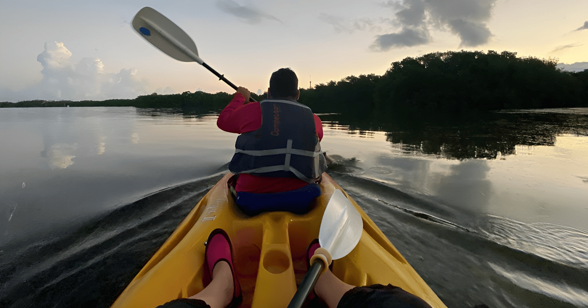 Sunrise Kayak Tour by Wayak Tour | GetYourGuide