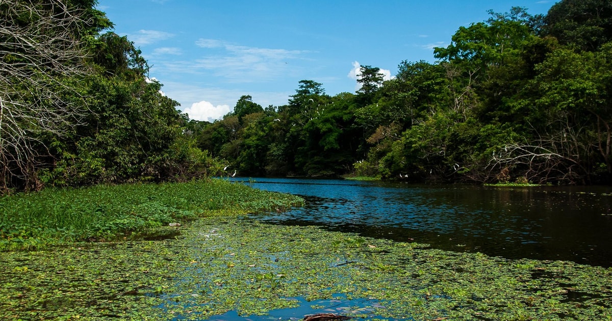 Reserva Pacaya Samiria de 5 días con todo incluido desde Iquitos ...