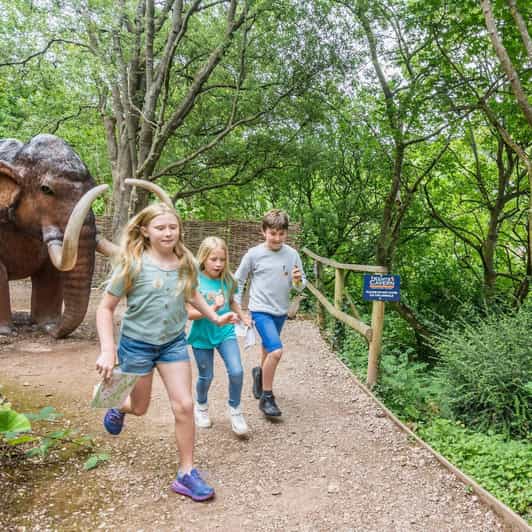 Torquay: Kents Cavern Prehistoric Cave | GetYourGuide