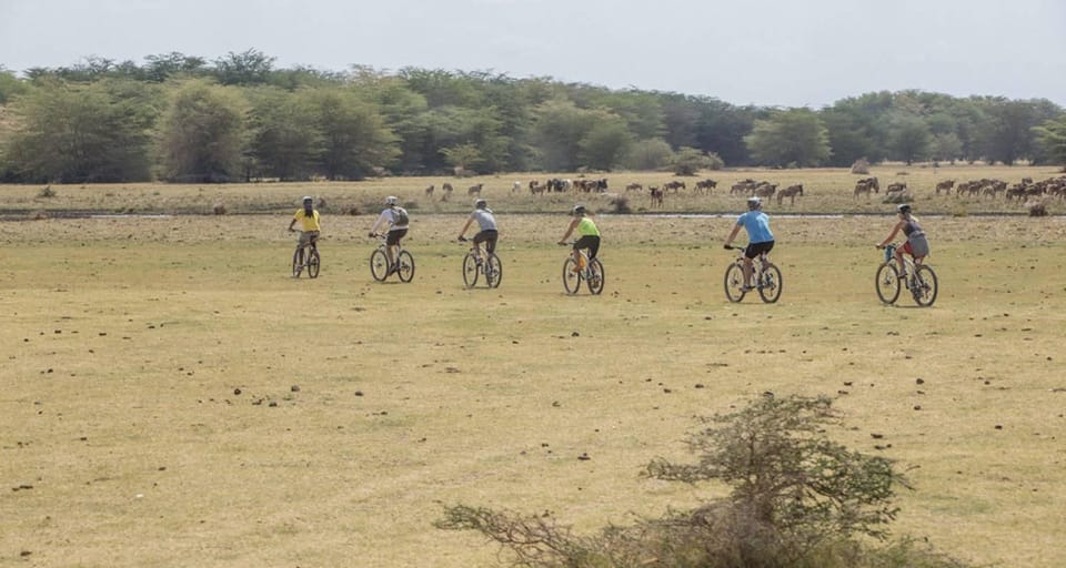 3 DAYS ARUSHA TO LAKE MANYARA BIKING TOUR | GetYourGuide
