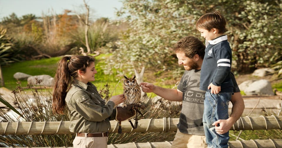 Desde Buenos Aires: Día completo Temaiken Eco Park | GetYourGuide