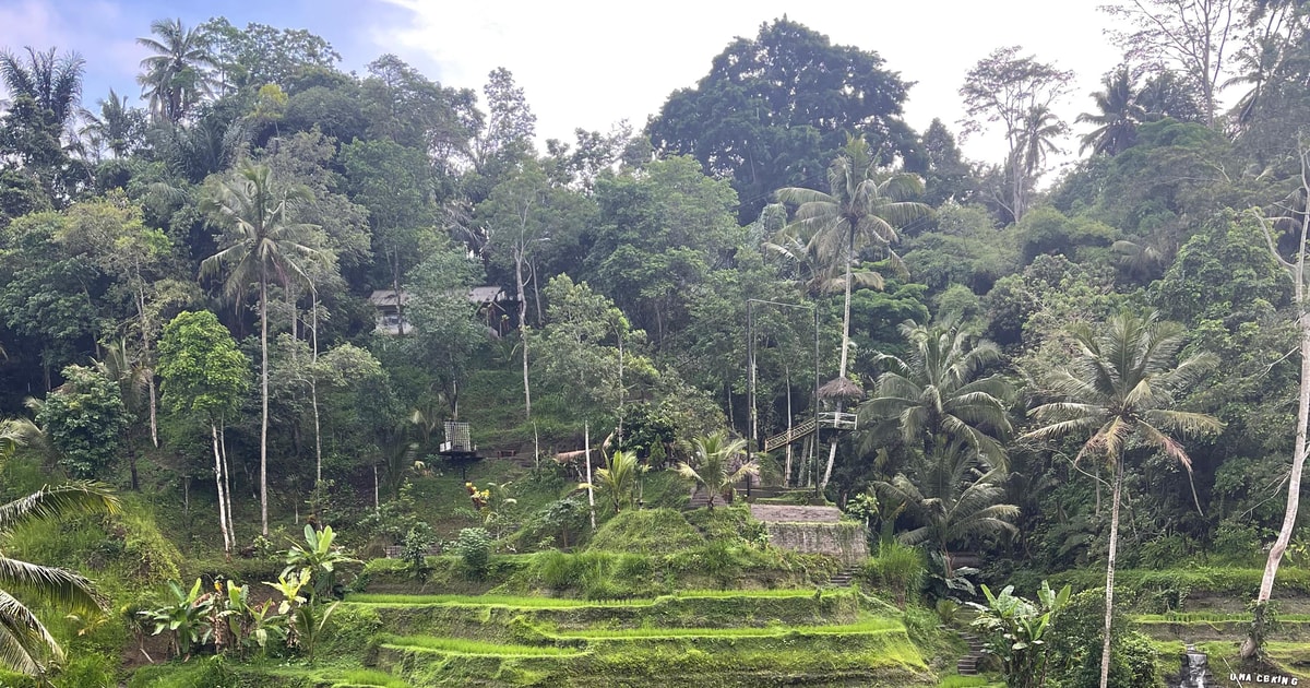 Tour di un giorno a Ubud con biglietto incluso | GetYourGuide