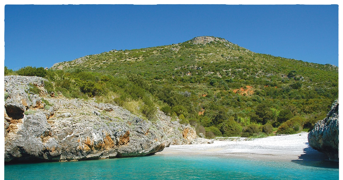 Boat Excursion to the MPA of the Infreschi and Masseta | GetYourGuide