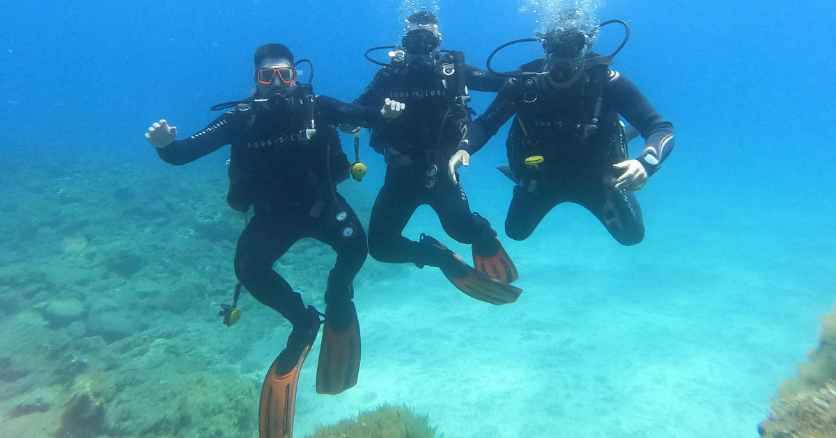 Tenerife south: Scuba Dive for beginners in Adeje | GetYourGuide