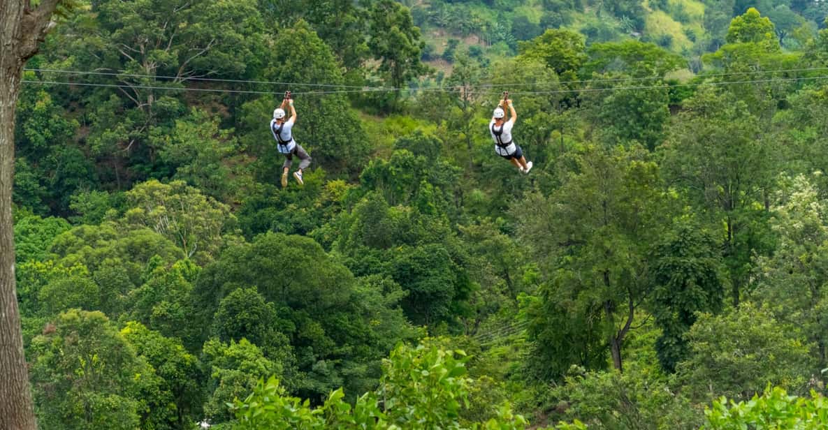 Pai: Jungle Ziplining Adventure with 16 Platforms | GetYourGuide
