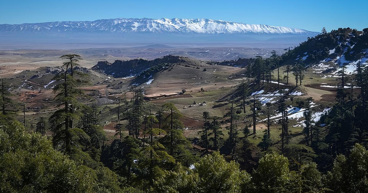 Fes: Dagtocht naar Midden Atlas: Imouzzer, Ifrane, Azrou | GetYourGuide