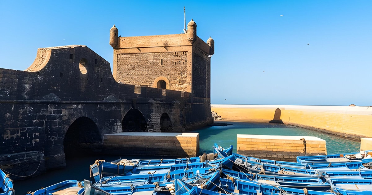 Au départ de Marrakech : Excursion d'une journée à Essaouira à dos de ...