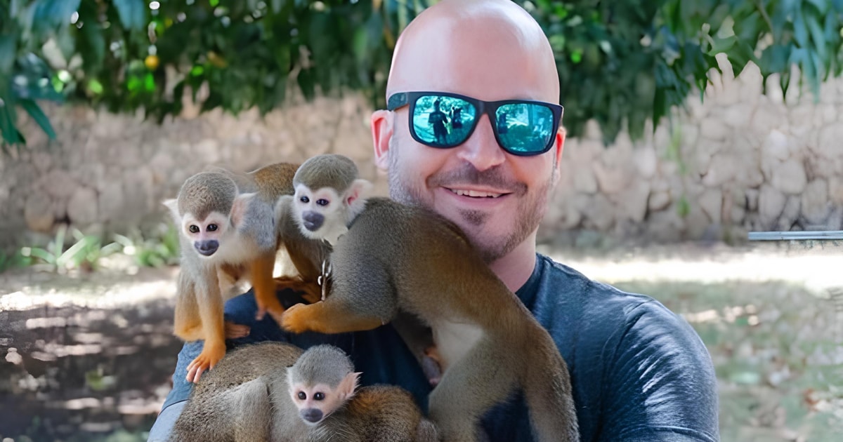 Butterfly Garden Plus Monkeys and cigars puerto plata tour | GetYourGuide