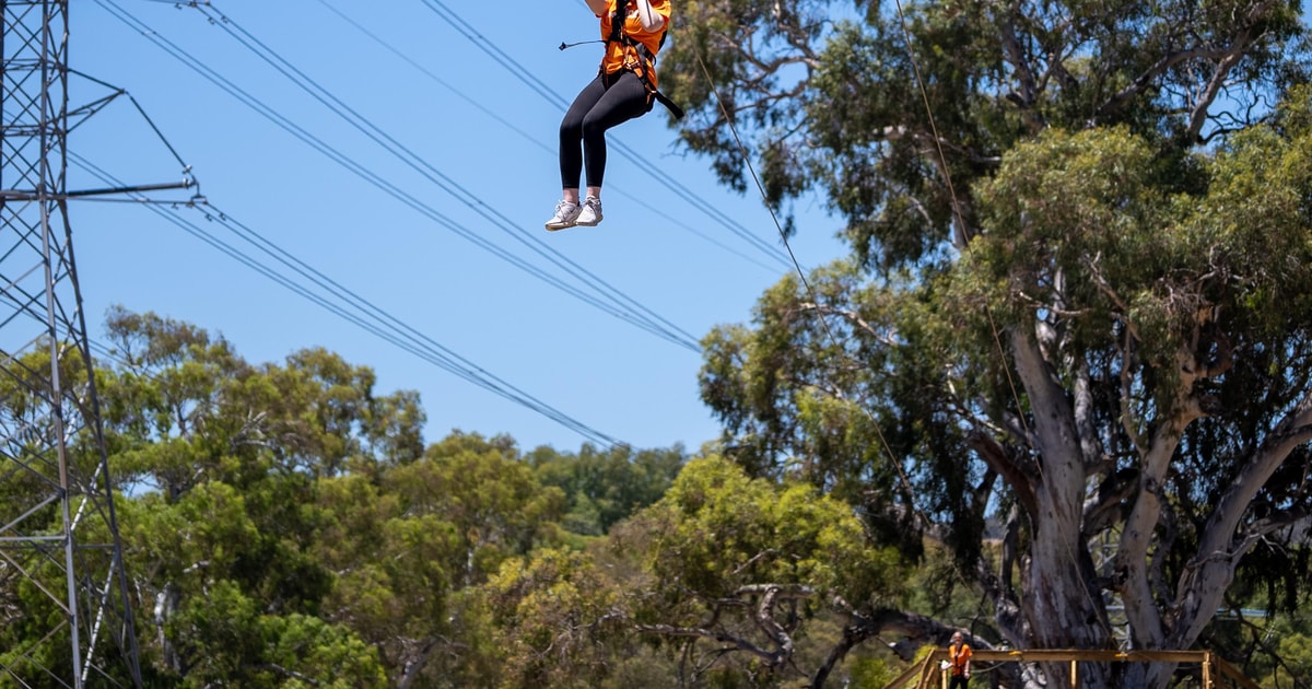 Adelaide: TreeClimb Adventure | GetYourGuide