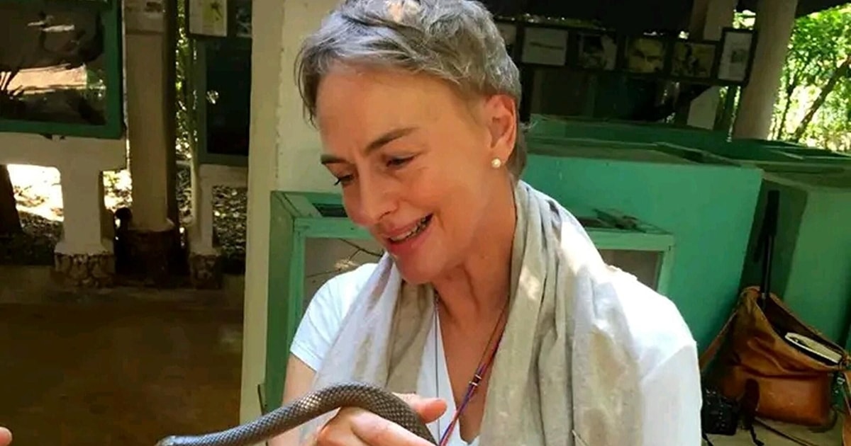 Watamu: Bioken Snake Farm Half Day Tour. | GetYourGuide