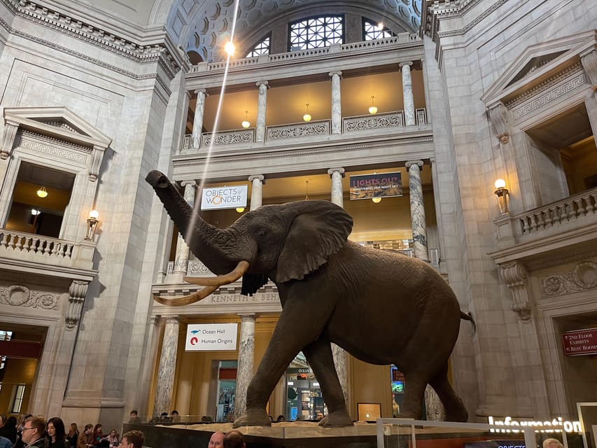 Washington DC: Smithsonian Highlights | GetYourGuide