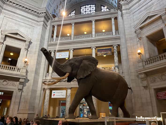 Washington DC: Smithsonian Highlights | GetYourGuide