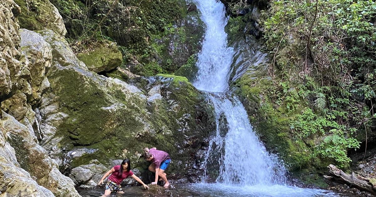 Rangitaiki River: Motu River Jet Boat Tour | GetYourGuide