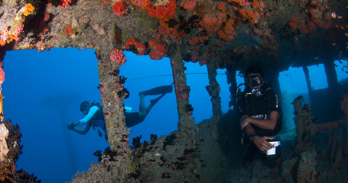 Maldives: Victory Shipwreck Scuba Dive | GetYourGuide
