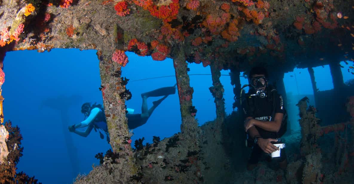 Maldives: Victory Shipwreck Scuba Dive | GetYourGuide