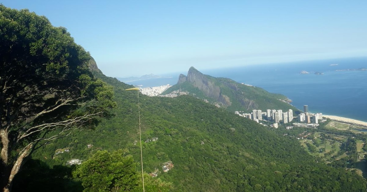 Rio de Janeiro : Randonnée guidée dans le parc national de la forêt de ...