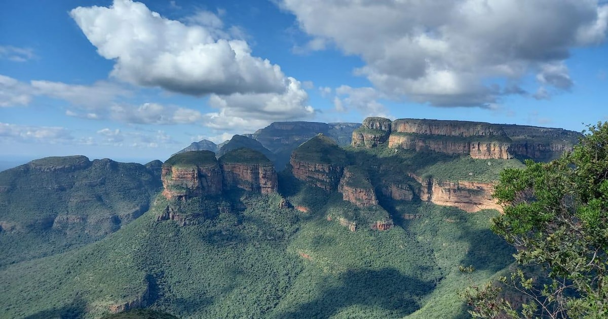 Kruger National Park 8 day Luxury Safari Experience | GetYourGuide