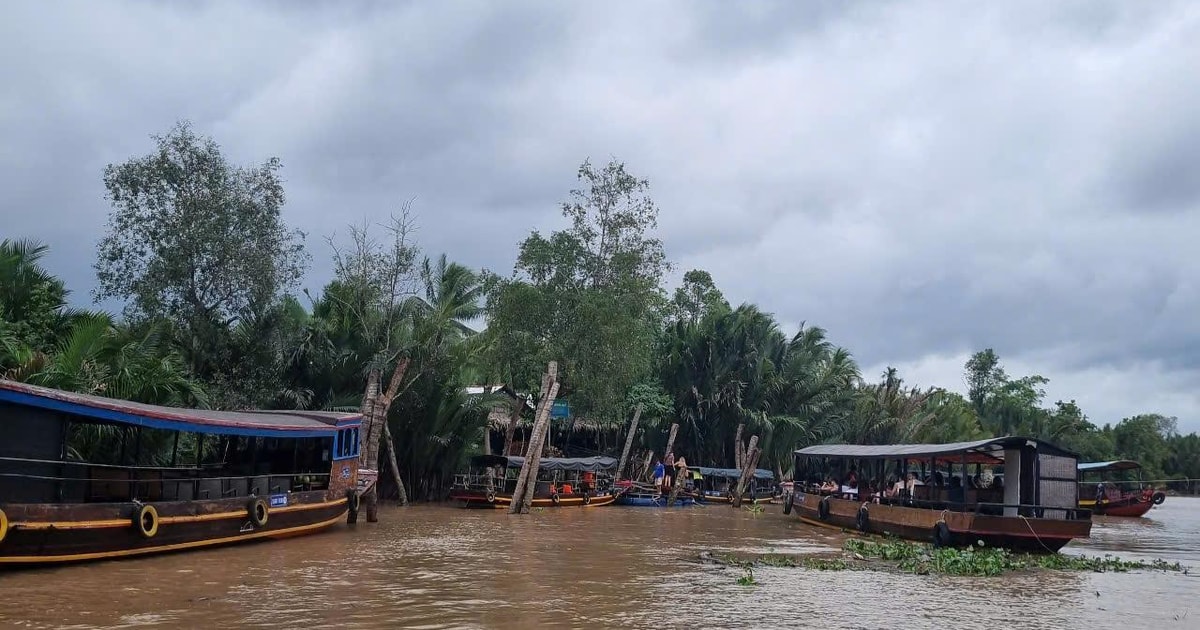 Ben Tre: Sampan Boat Tour Through Canals | GetYourGuide