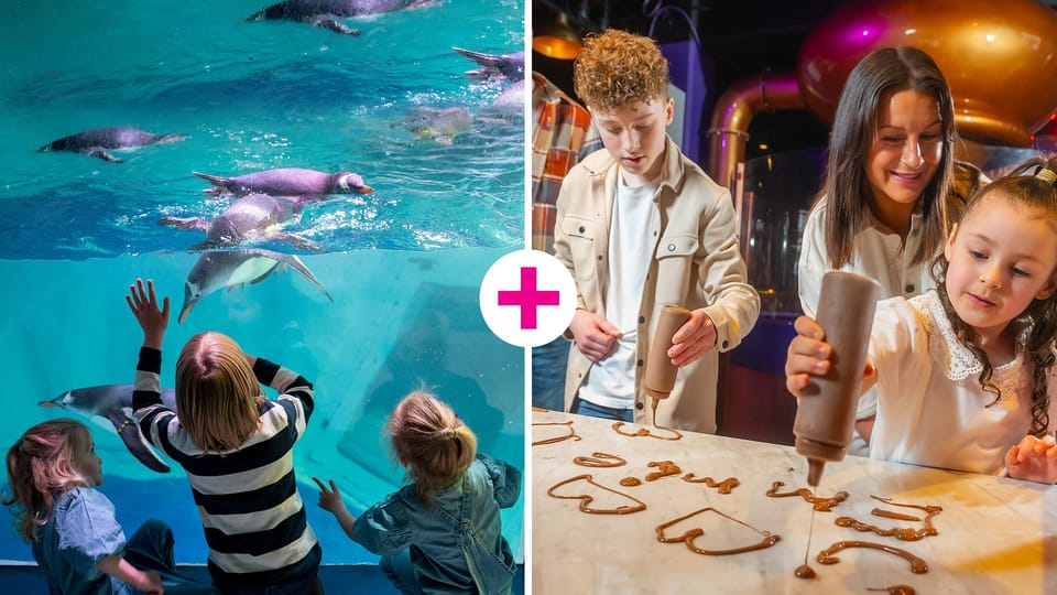 Birmingham: Cadbury World & SEA LIFE Birmingham | GetYourGuide Birmingham: Cadbury World & SEA LIFE Birmingham | GetYourGuide