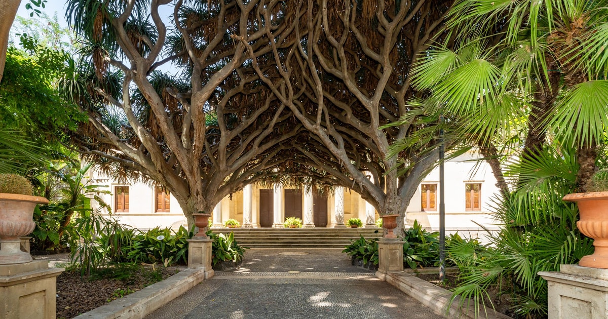 Botanical Garden of Catania, guided tour in Italian | GetYourGuide