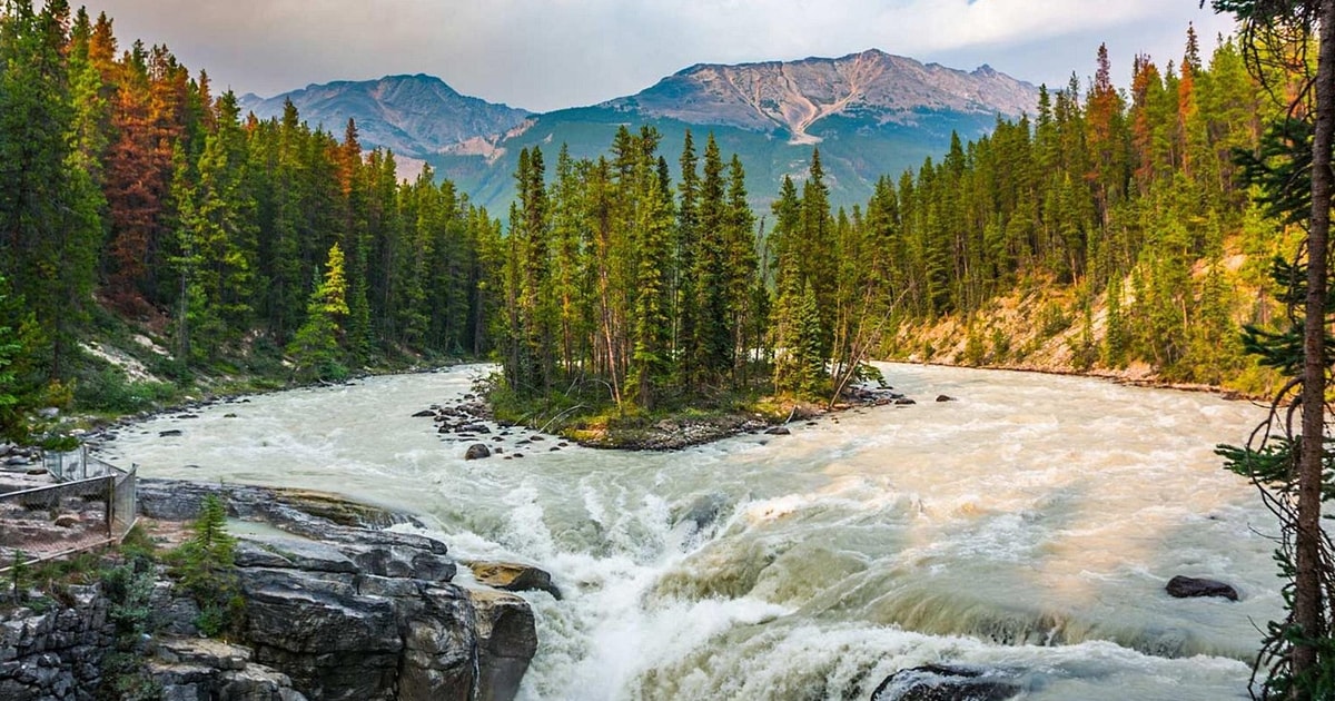 Calgary: escursione a Jasper con pranzo | GetYourGuide
