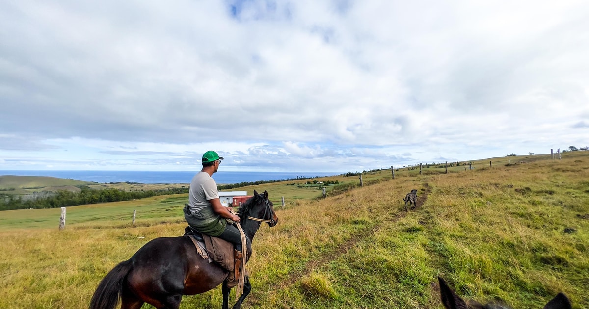Terevaka Horse Excursion: The highest point and 360° view. | GetYourGuide