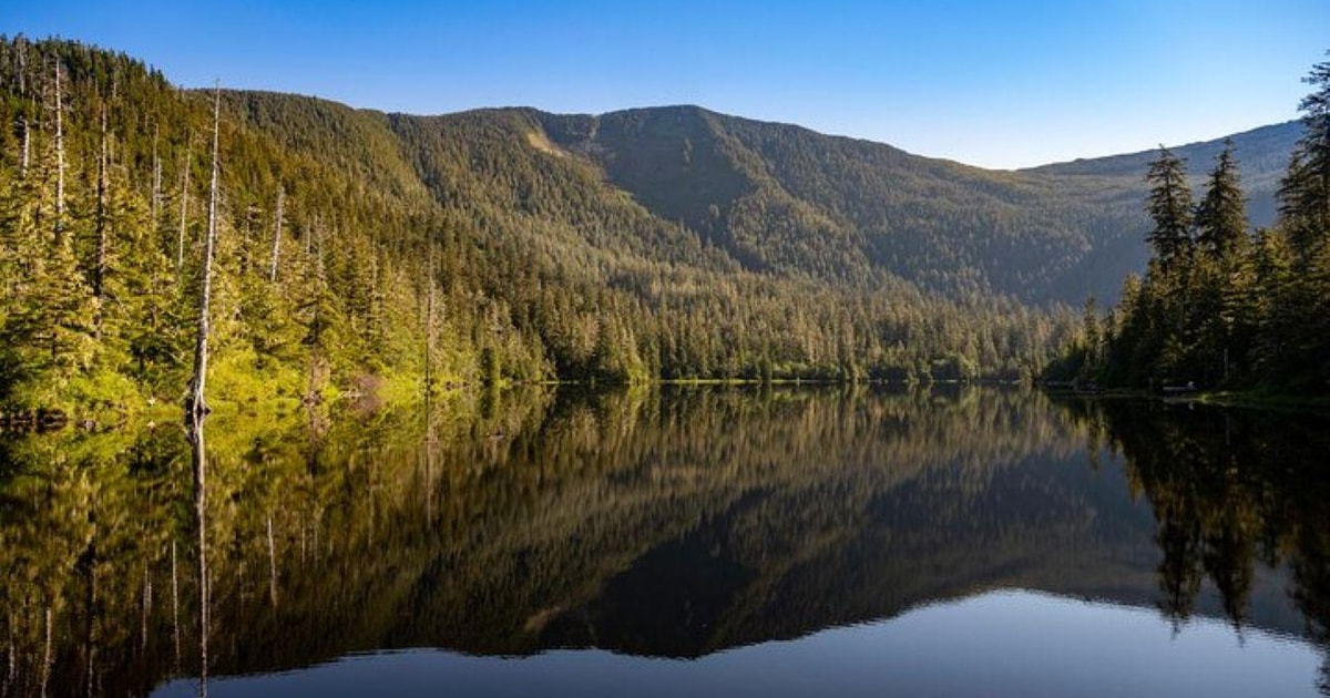 Ketchikan: Mountain Lake Trek to Avalanche Chute | GetYourGuide