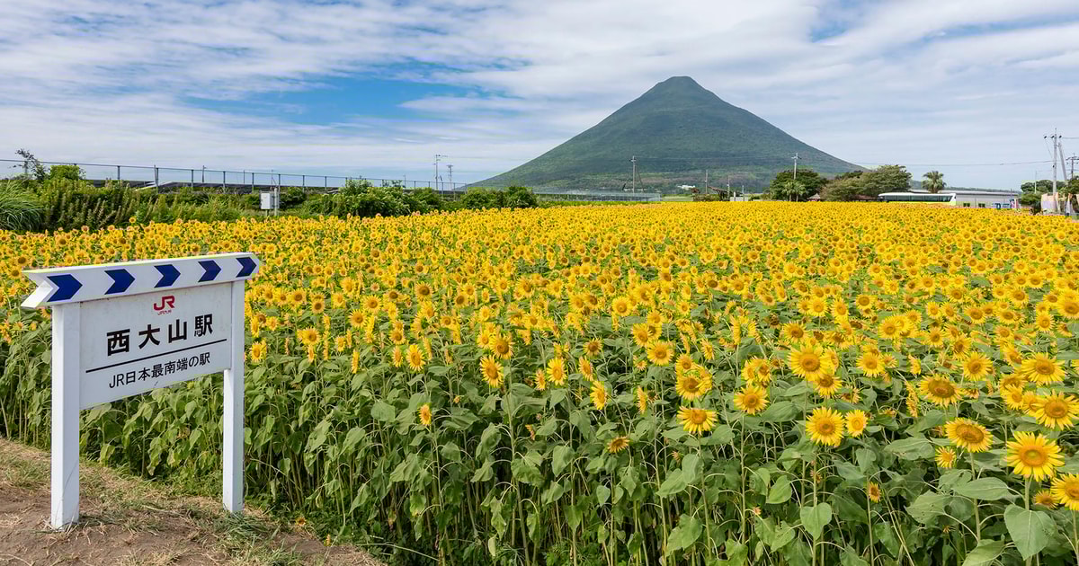Kagoshima: Ibusuki City and Mount Kaimon Dake Tour | GetYourGuide