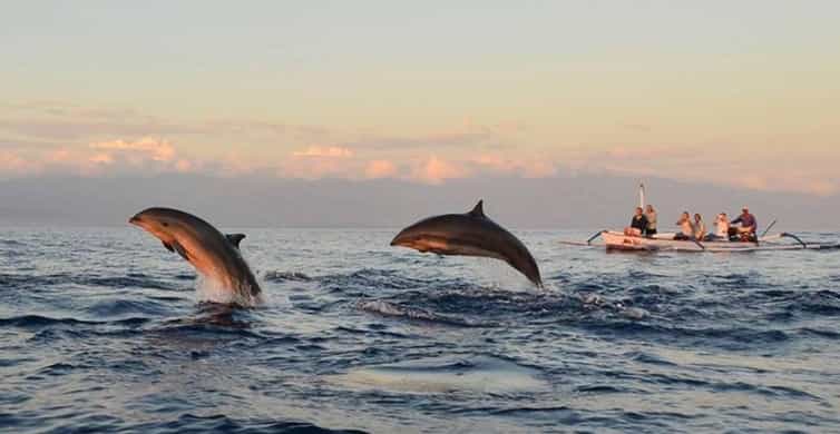 Bali: Watching Dolphins,Snorkeling & Hot Springs | GetYourGuide