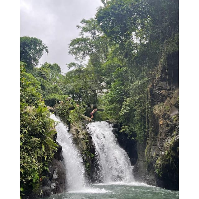 Bali: Lovina dolphin private tour & waterfalls fun activites | GetYourGuide