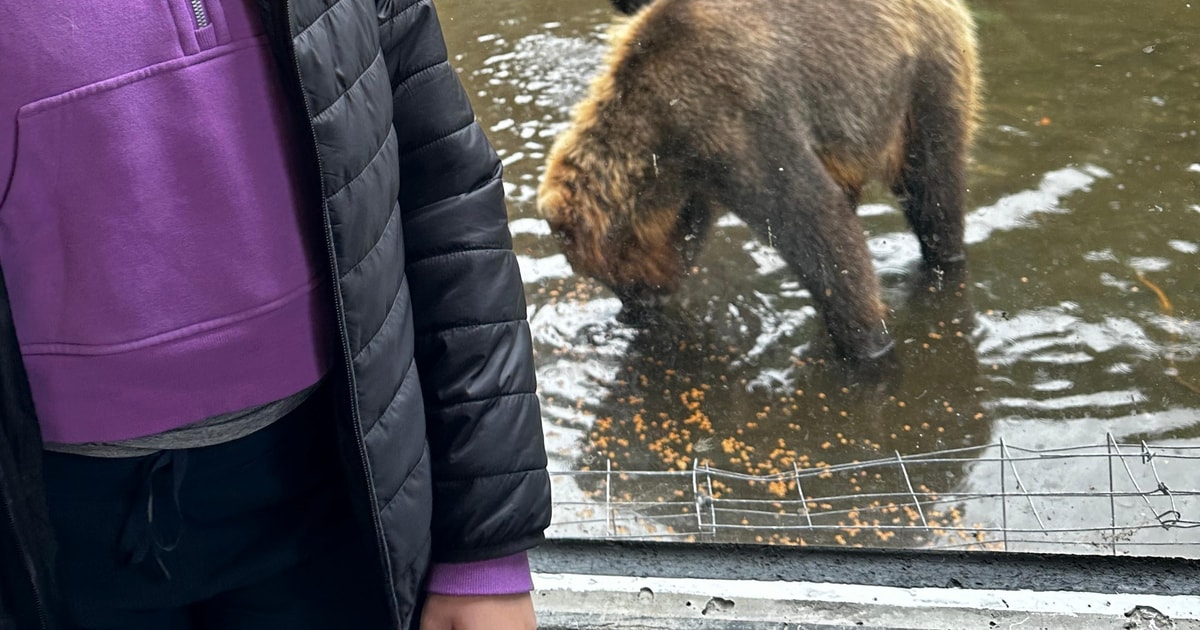 Sitka’s Favorite Sites Private Land and Bear Tour | GetYourGuide